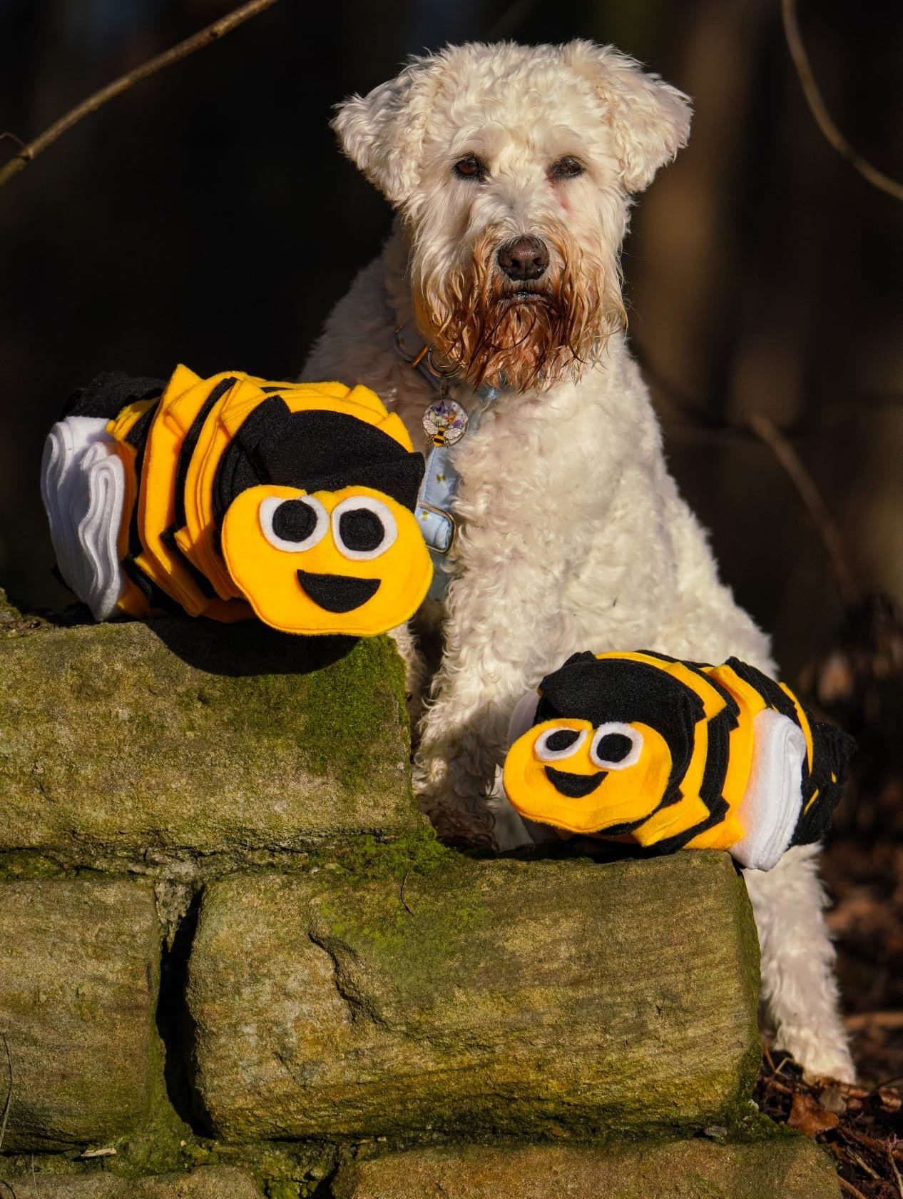 Bumble Buzzle Available In 2 Sizes – Snufflesshop